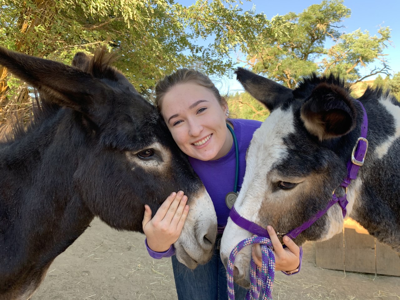 Internships – Blackbird Ranch Farm Sanctuary