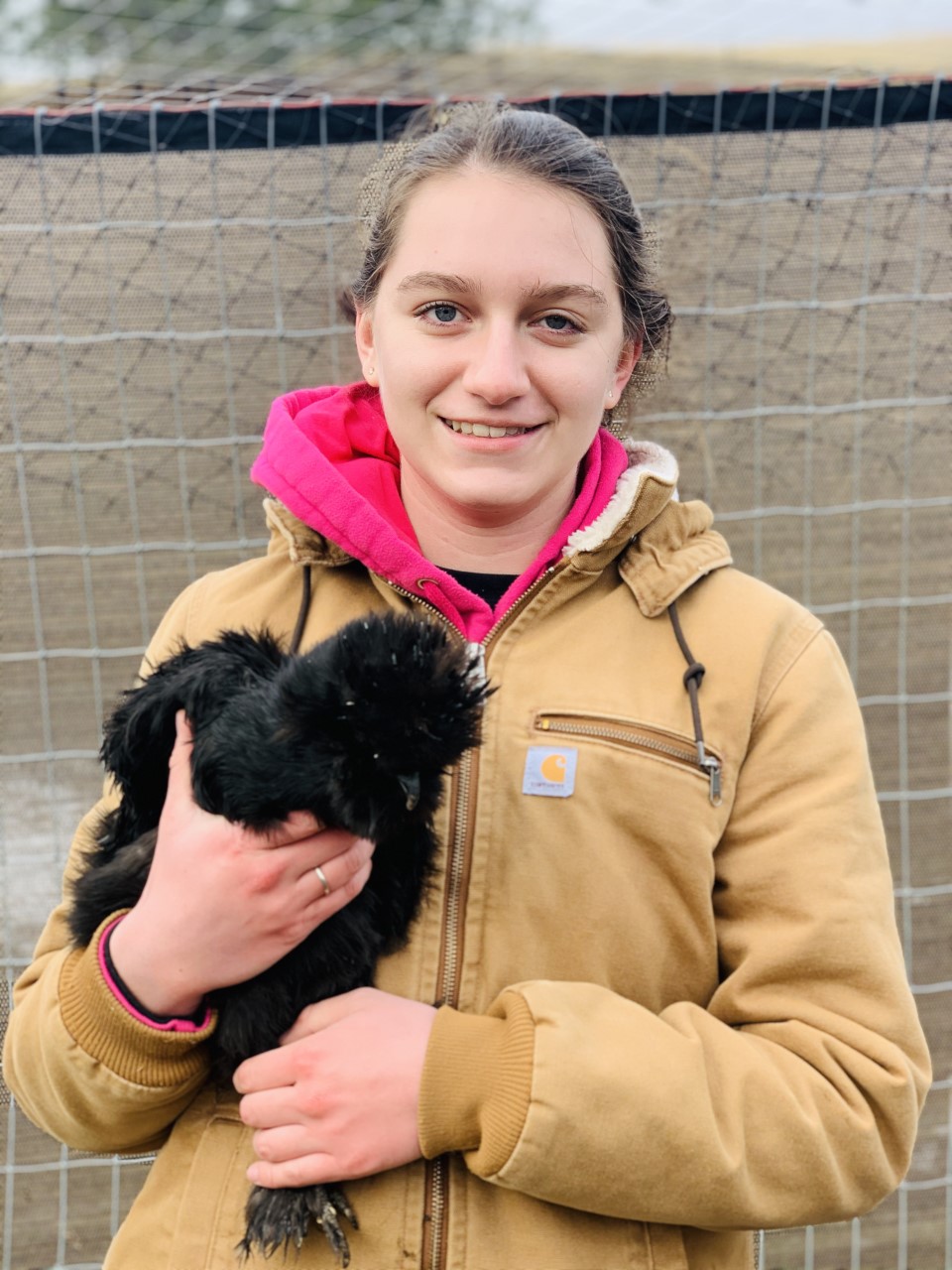 Internships – Blackbird Ranch Farm Sanctuary